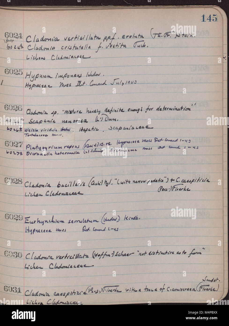 This document presents an identification list of specimens, numbered ...