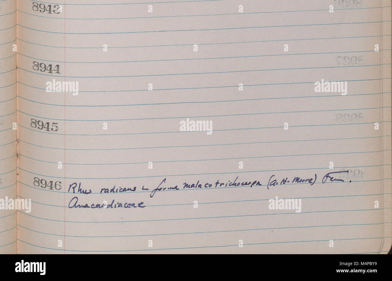 This book contains a list of specimens, including their identification ...