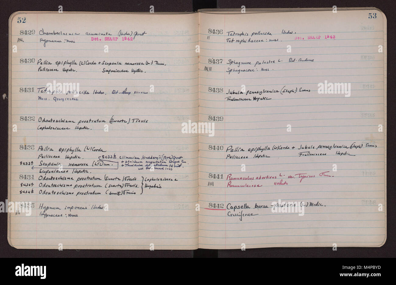 This identification list (1930-1960) provides detailed cataloging of ...