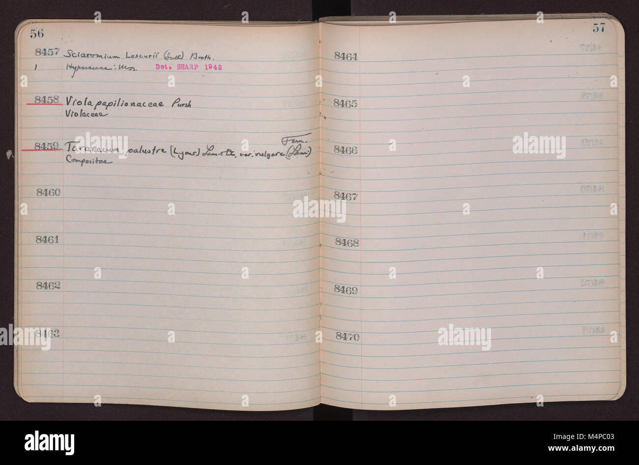 This document is an identification list of specimens numbered 8072 to ...