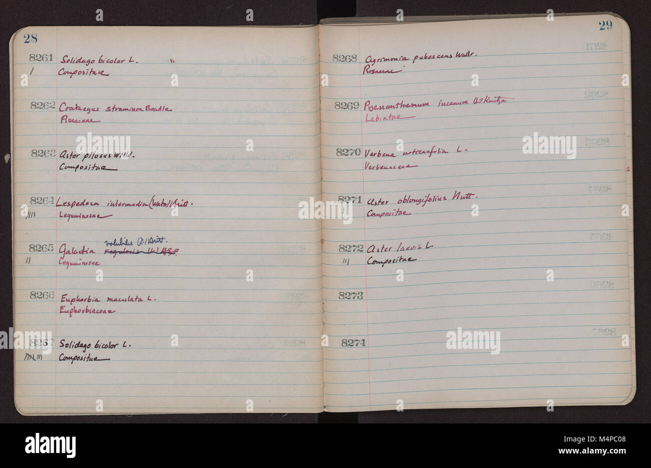 Book 24, identification list, specimen no. 8072-9471, undated (1930 ...