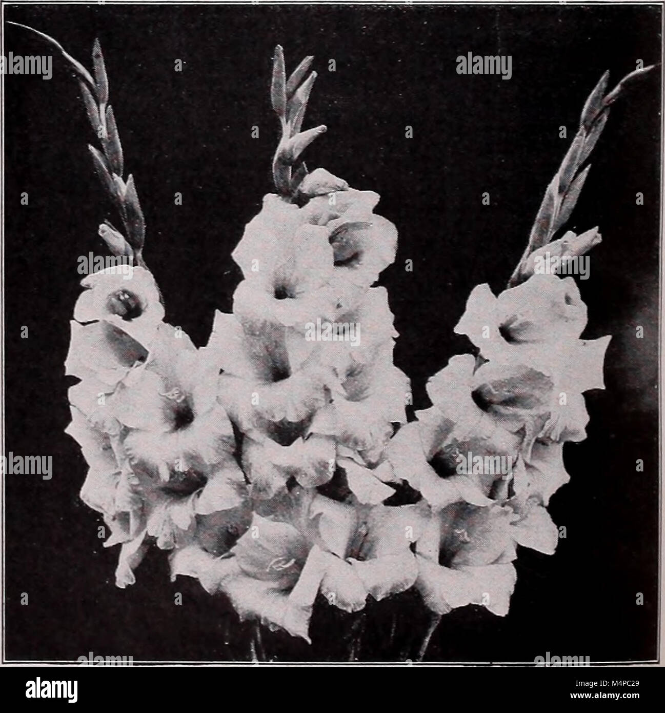 A guidebook for florists published in 1935, focusing on springtime ...