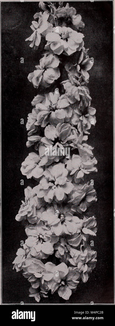 The *Book for Florists* (1935) provides guidelines and advice on floral ...