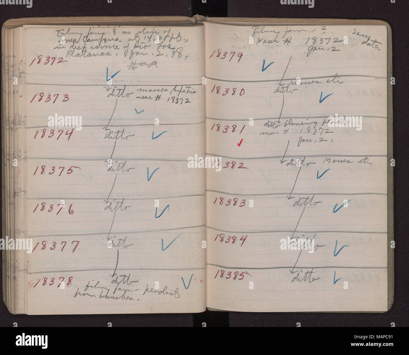 H.A. Allard's field collection, Book No. 13 (1947-1948), details ...