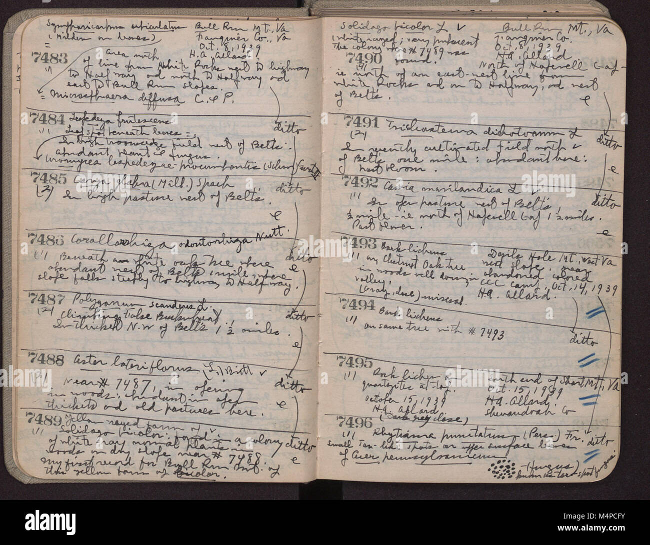 *Book No. 6, H.A. Allard* contains field collection specimens numbered ...