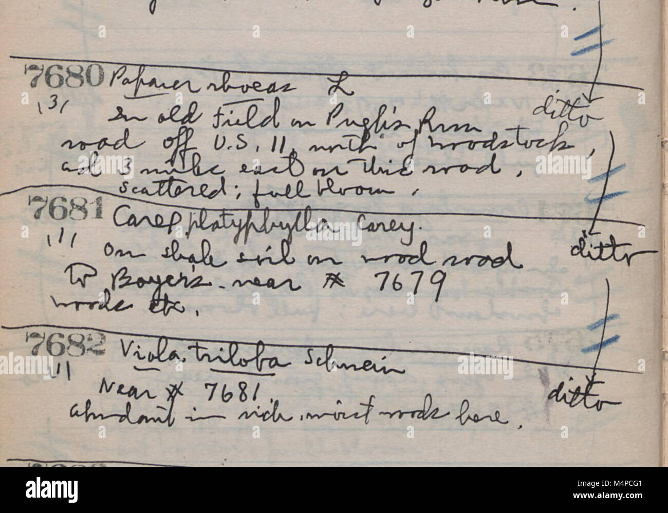 This field collection by H.A. Allard from 1939-1941 consists of ...