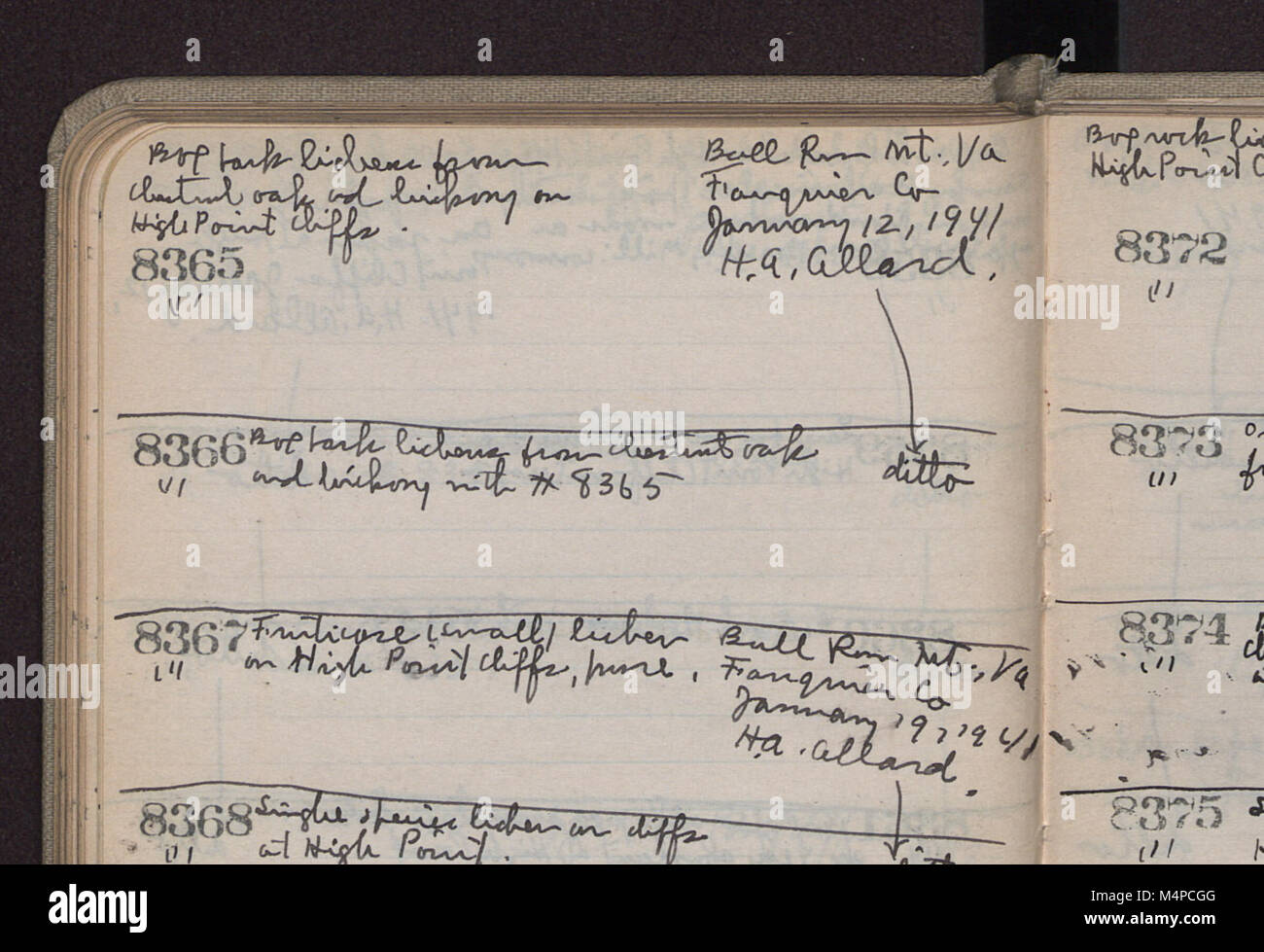 *Book No. 6, H.A. Allard, Field Collection Specimens No. 7448-8777 ...