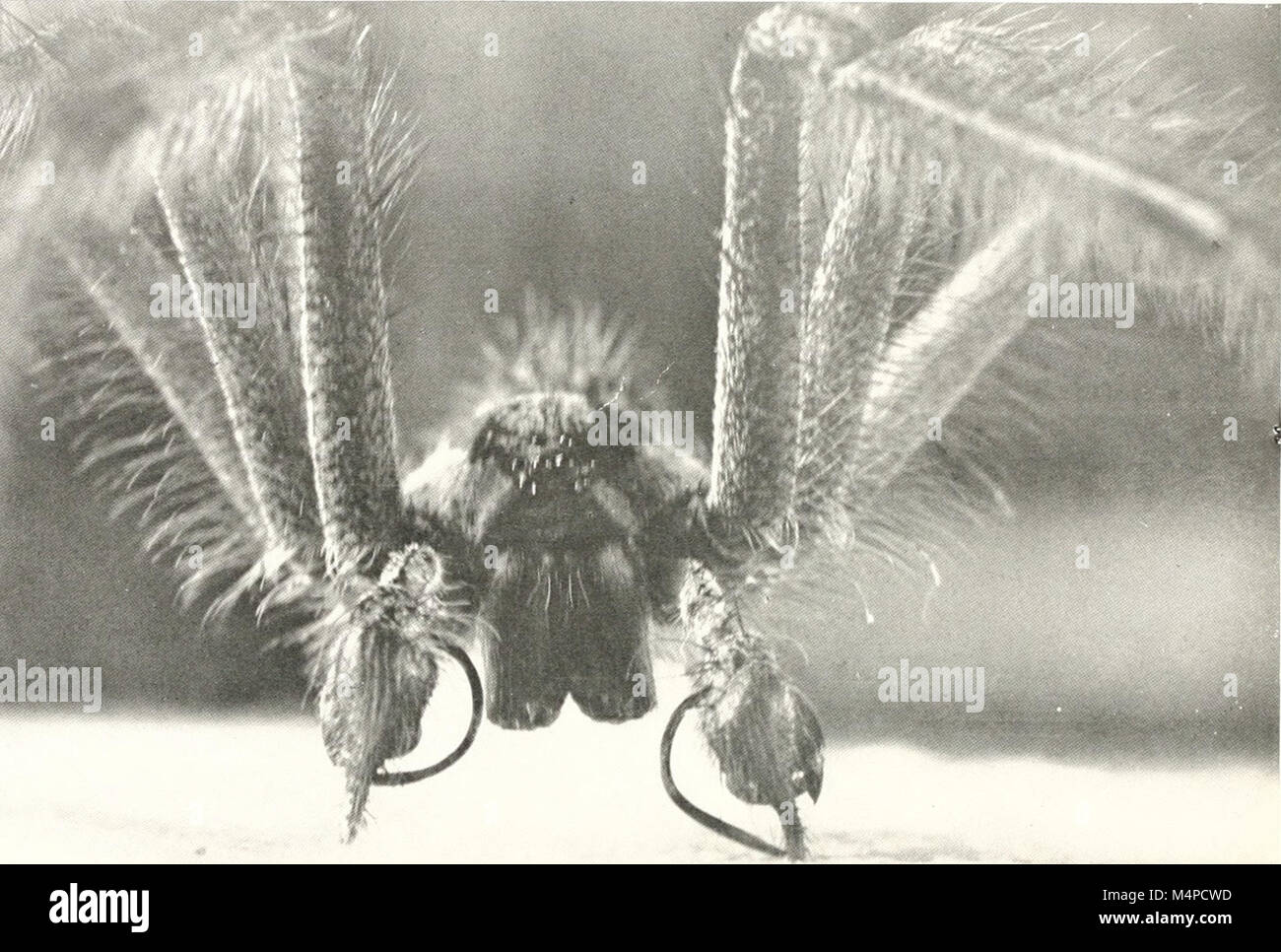 The 'Book of Monsters' (1914) is a literary work that describes various ...