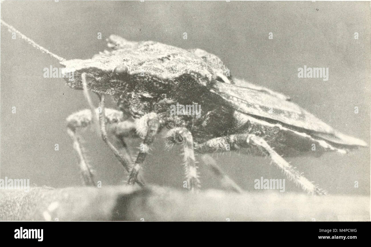 This 1914 book covers various mythical creatures and legendary monsters ...