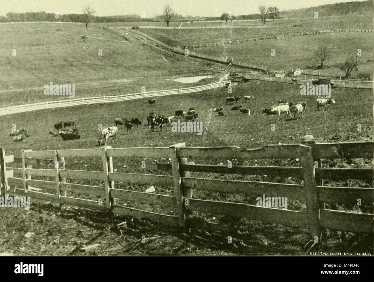 'Book of the Royal Blue' (1897) is a historical reference on the Royal ...