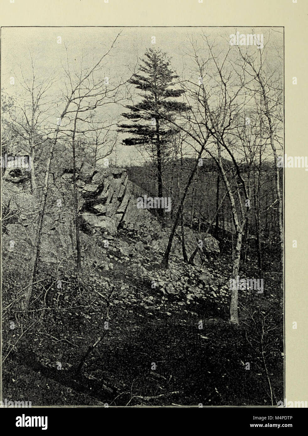 Boston park guide - including the municipal and metropolitan systems of ...