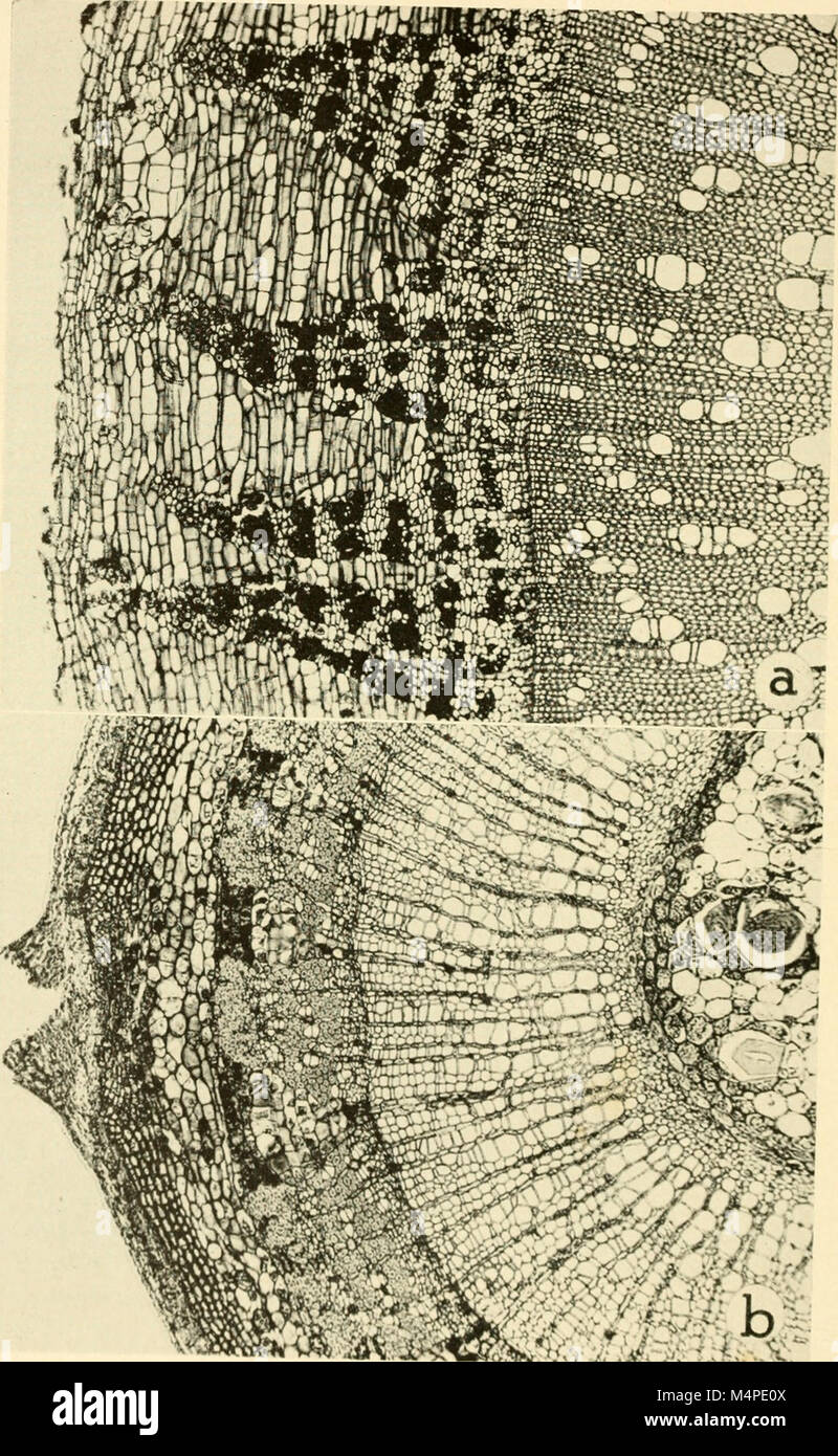 Microtechnique hi-res stock photography and images - Alamy