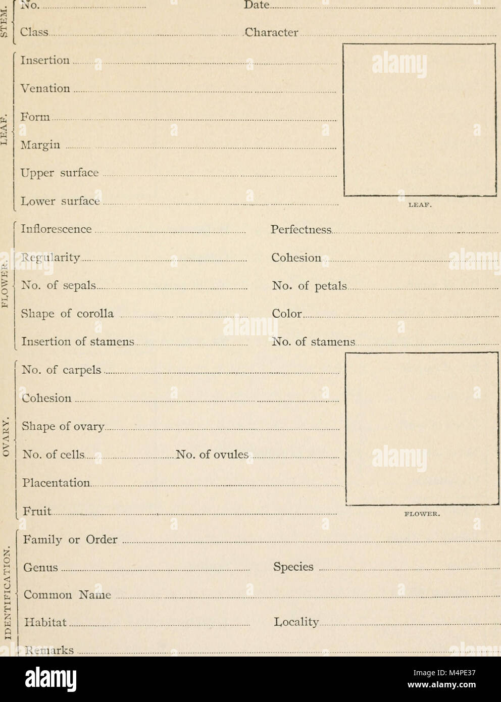 This botanical record book offers directions for laboratory work in ...