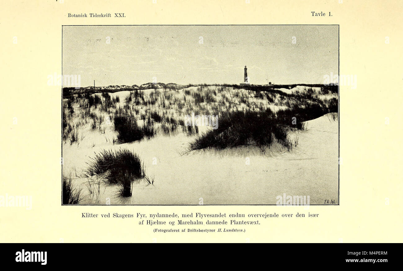 'Botanisk Tidsskrift' (1897) is a Danish botanical journal featuring ...