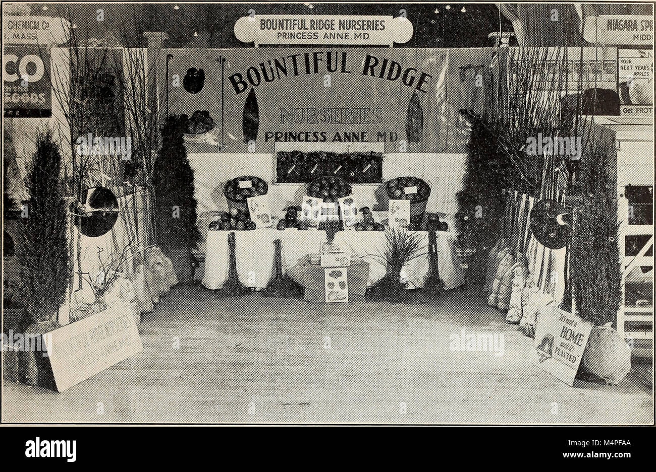 Bountiful Ridge Nurseries - your guide to better fruits and more ...