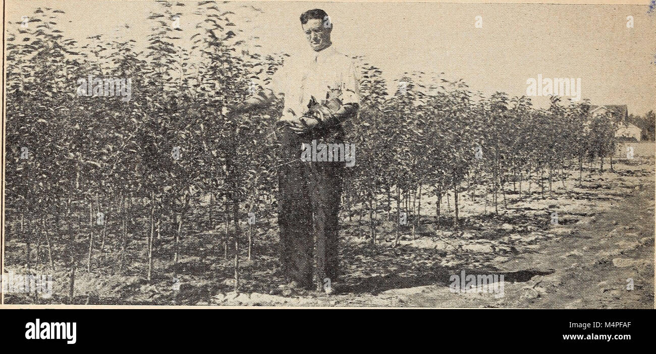 Bountiful Ridge Nurseries - your guide to better fruits and more ...