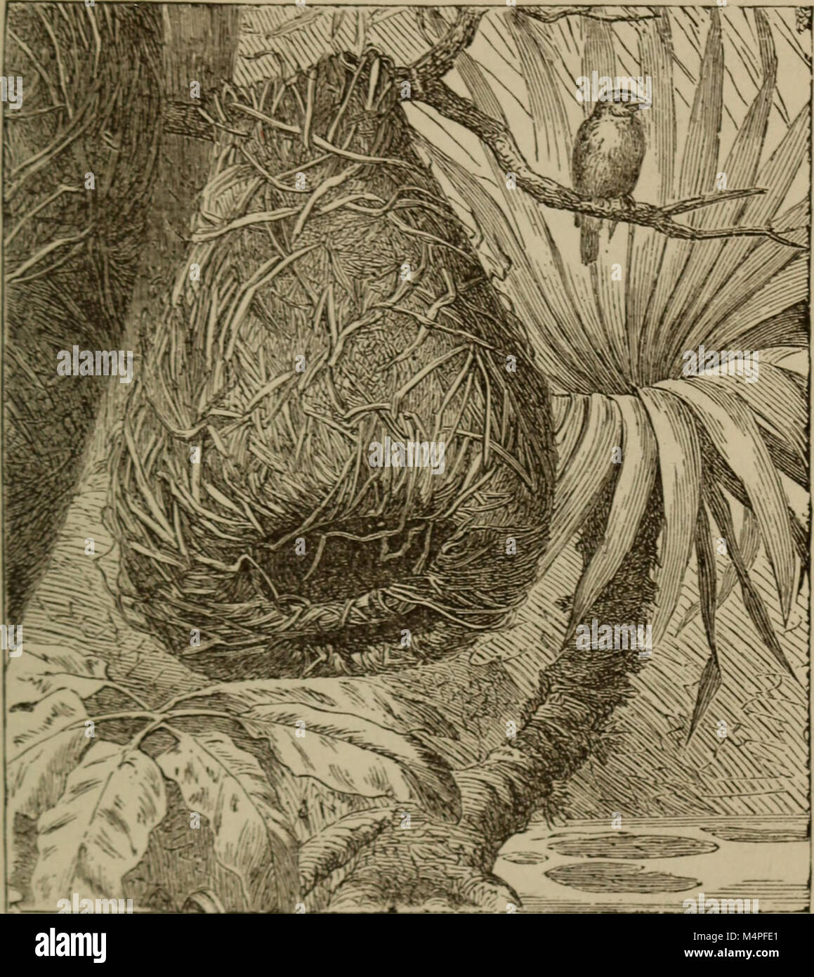 A 1874 narrative following Miss Truat's mission to educate and care for ...