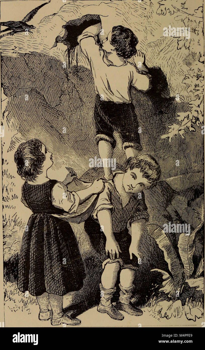 'Boys and Birds' (1874) is a children's book that tells the story of ...