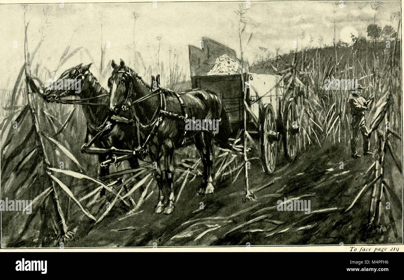 This 1899 book describes the experiences of a boy growing up on the ...