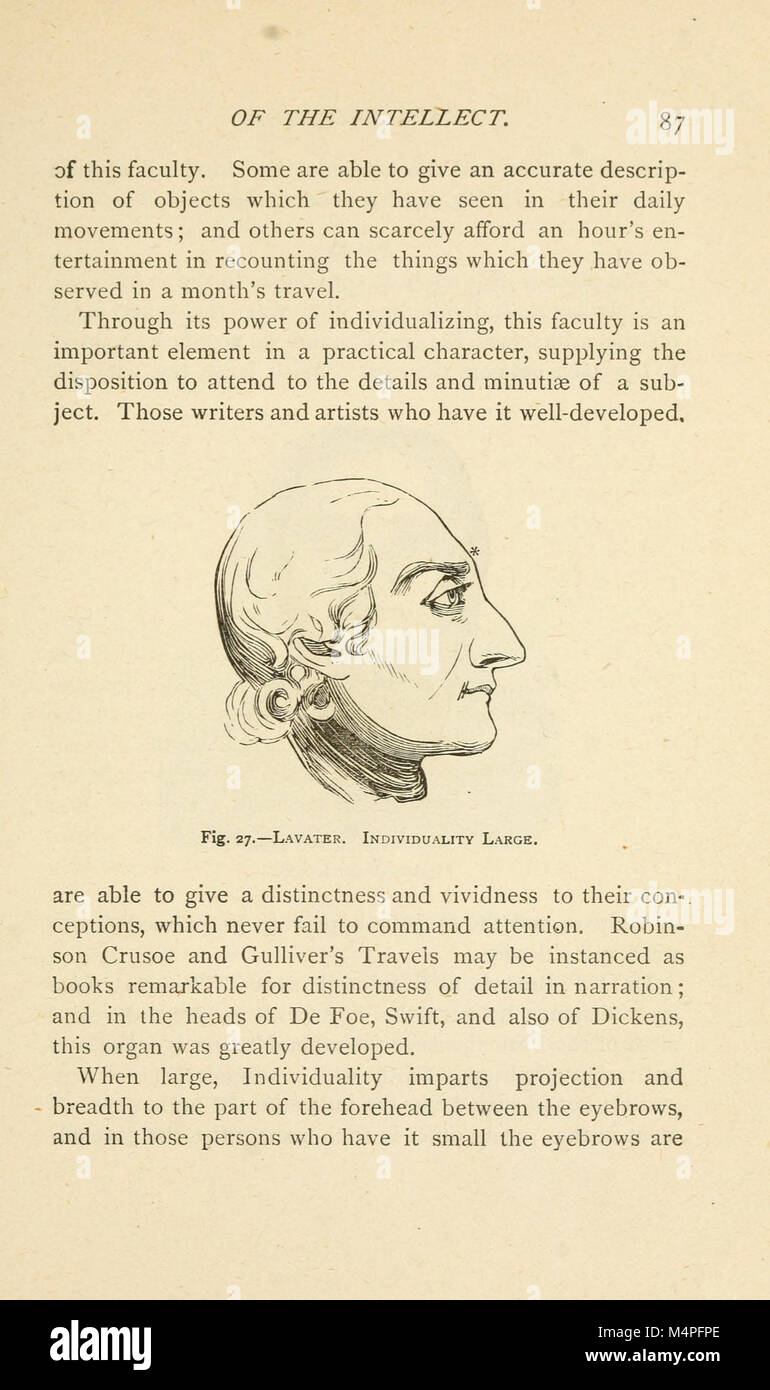 Modern brain ancient brain hi-res stock photography and images - Alamy