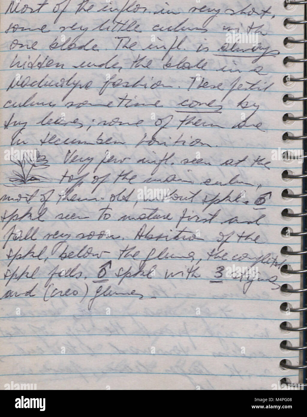 1972 documents the events hi-res stock photography and images - Alamy