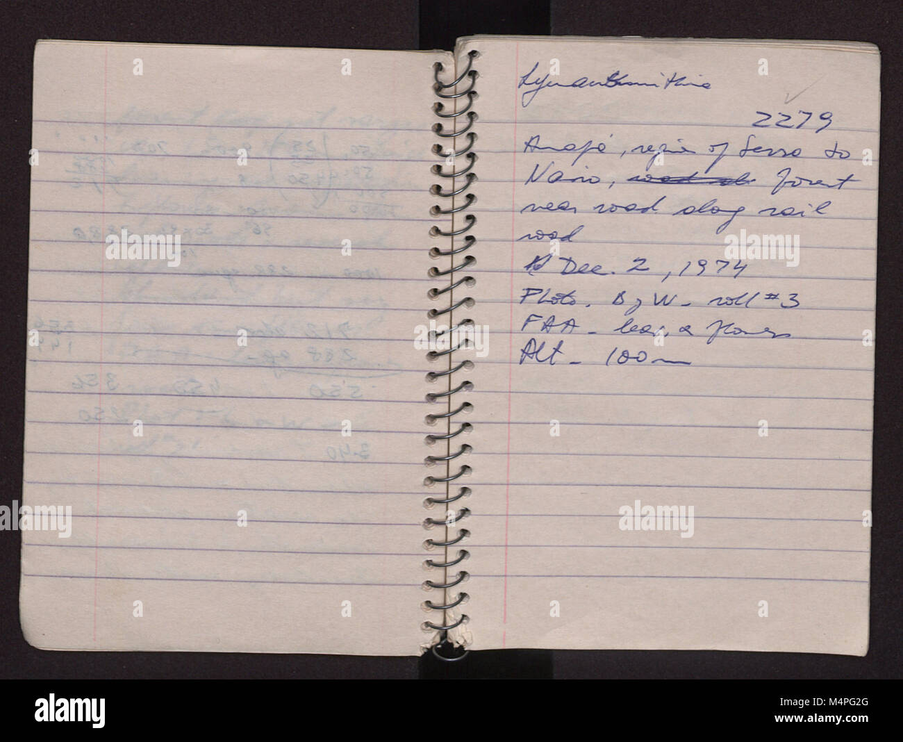 'Brasil 1974' documents the cultural, social, and political climate of ...