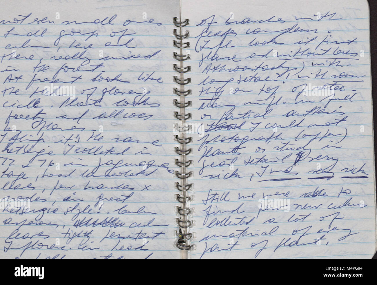 'Brasil 1978' captures significant moments from Brazil in that year ...