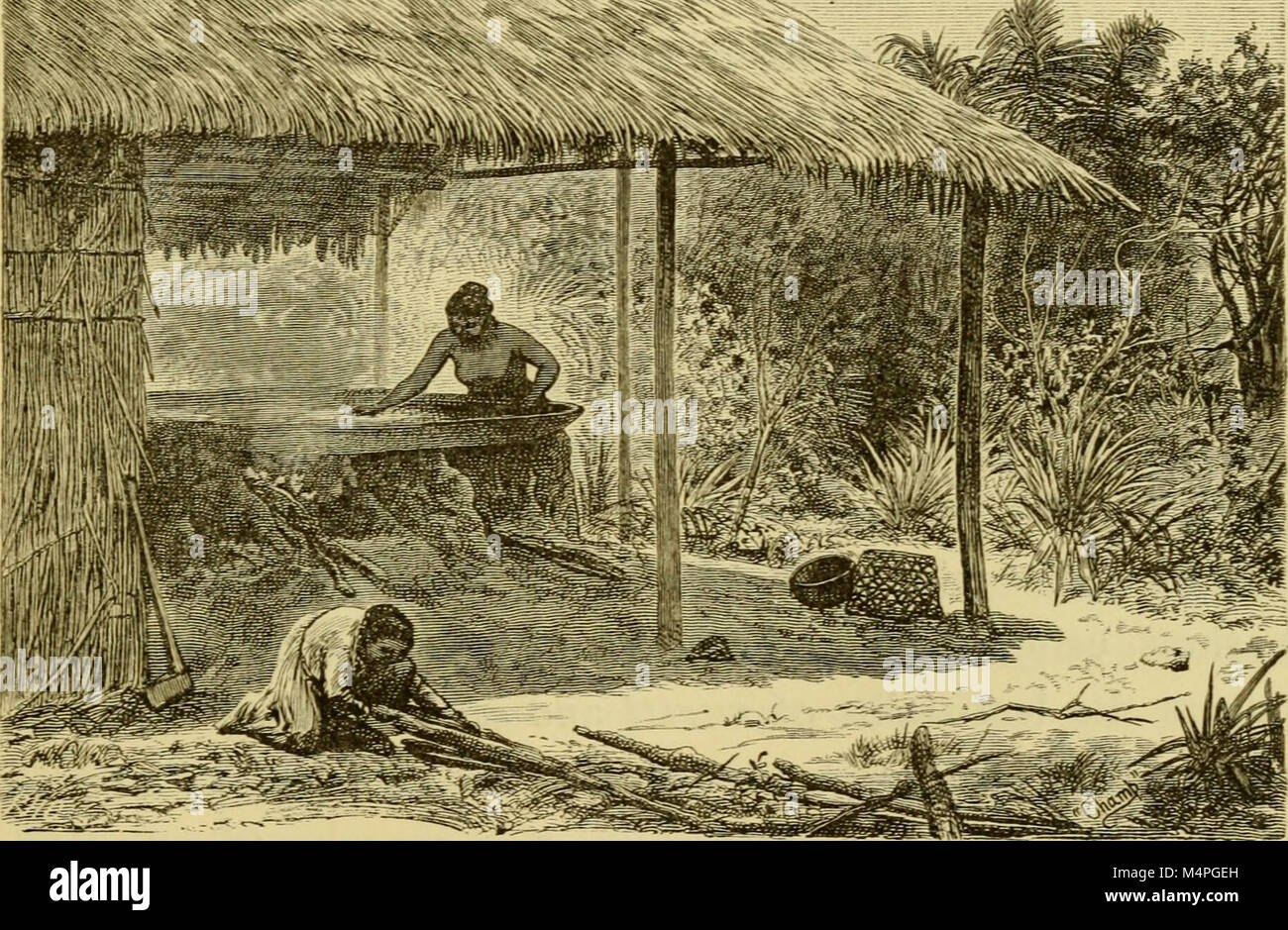 This 1879 book provides a detailed exploration of Brazil, focusing on ...