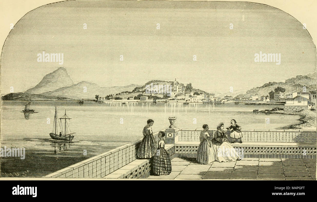This 1857 publication offers a detailed portrayal of Brazil's history ...