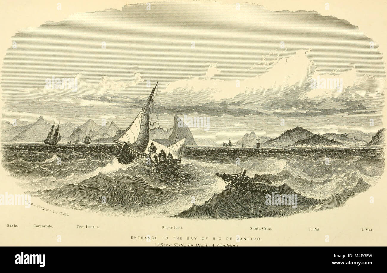 'Brazil and the Brazilians' (1857) offers a historical and descriptive ...