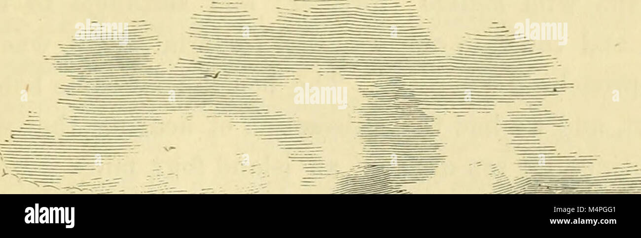 'Brazil and the Brazilians' (1857) offers historical and descriptive ...