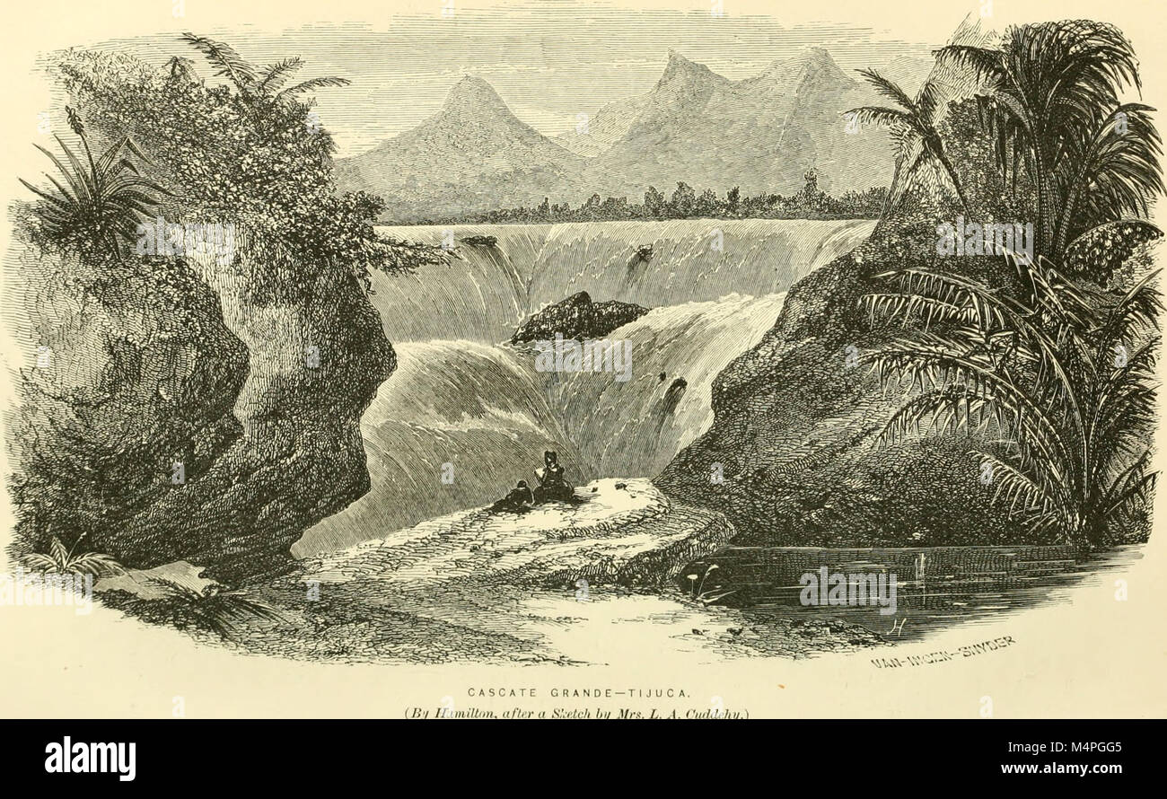 'Brazil and the Brazilians' (1857) provides a detailed historical and ...