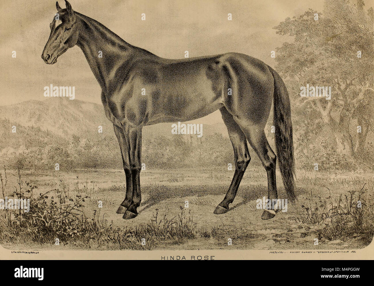 Breeder and sportsman (1883) (20418762171 Stock Photo - Alamy