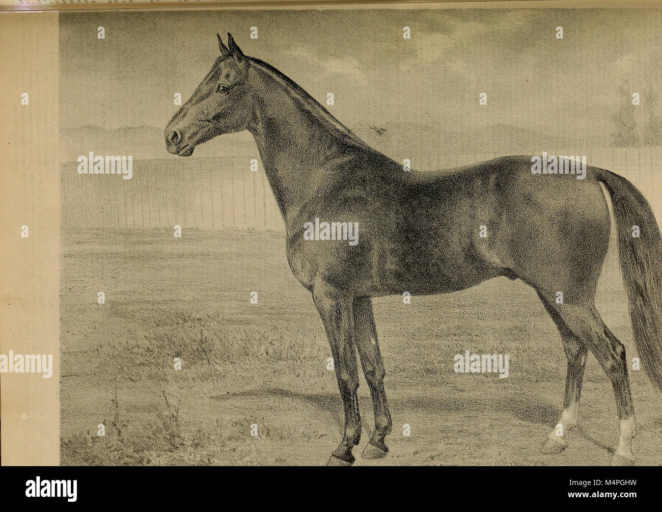 *Breeder and Sportsman* (1889) is a publication dedicated to the fields ...