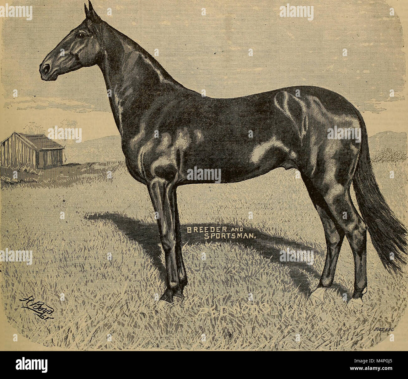 'Breeder and Sportsman' (1890) is a publication focused on animal ...