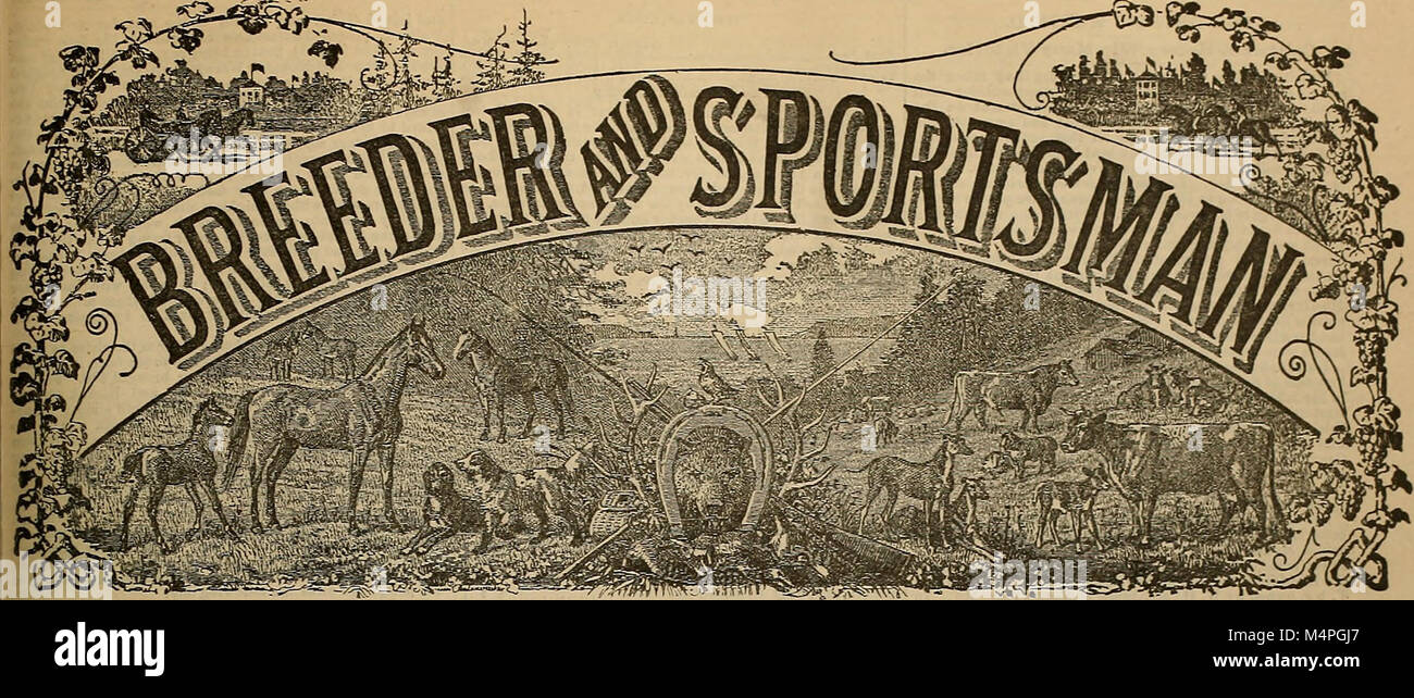 Breeder and sportsman (1890) (19788180303 Stock Photo - Alamy