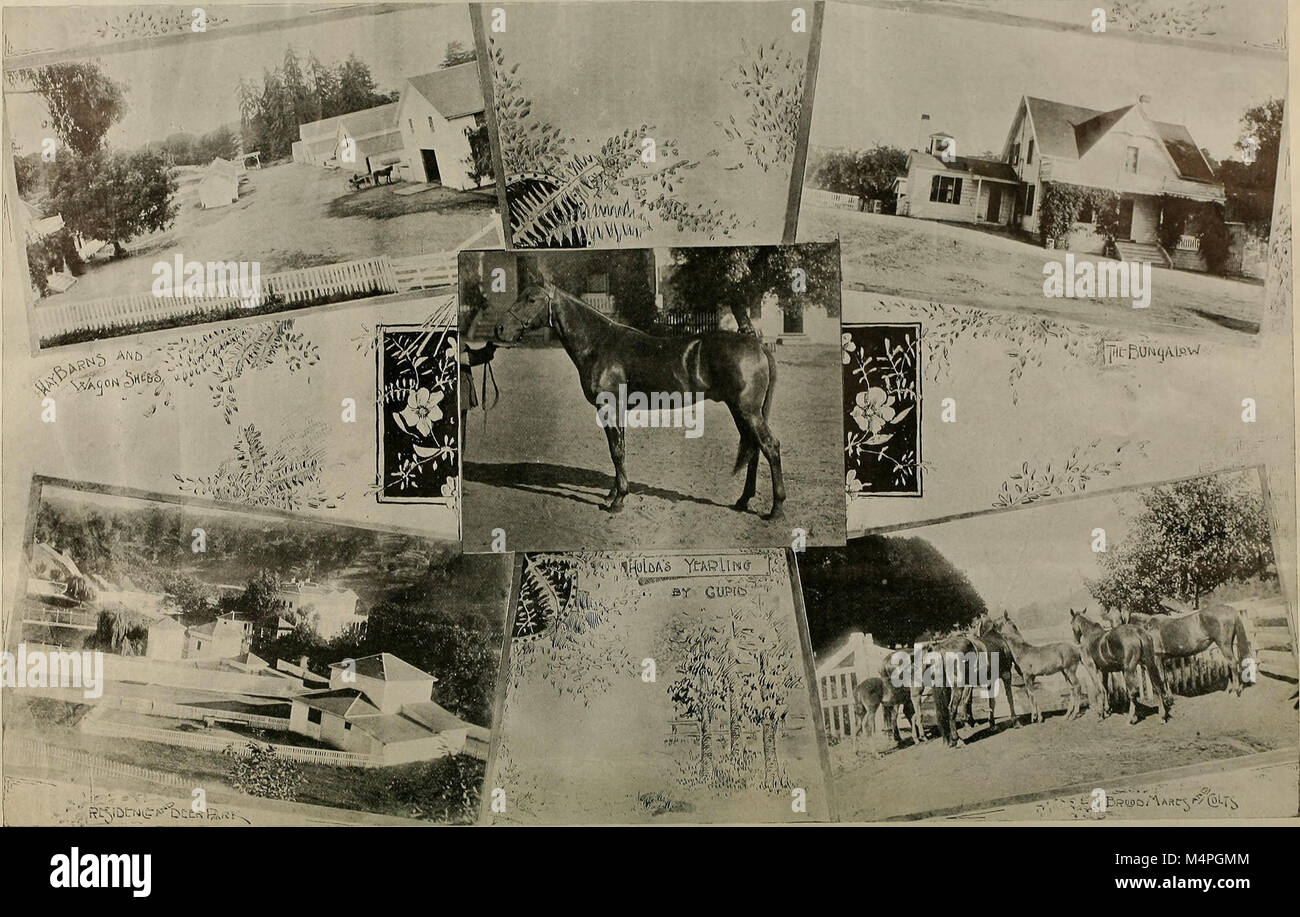 Breeder and sportsman (1899) (20409444355 Stock Photo - Alamy