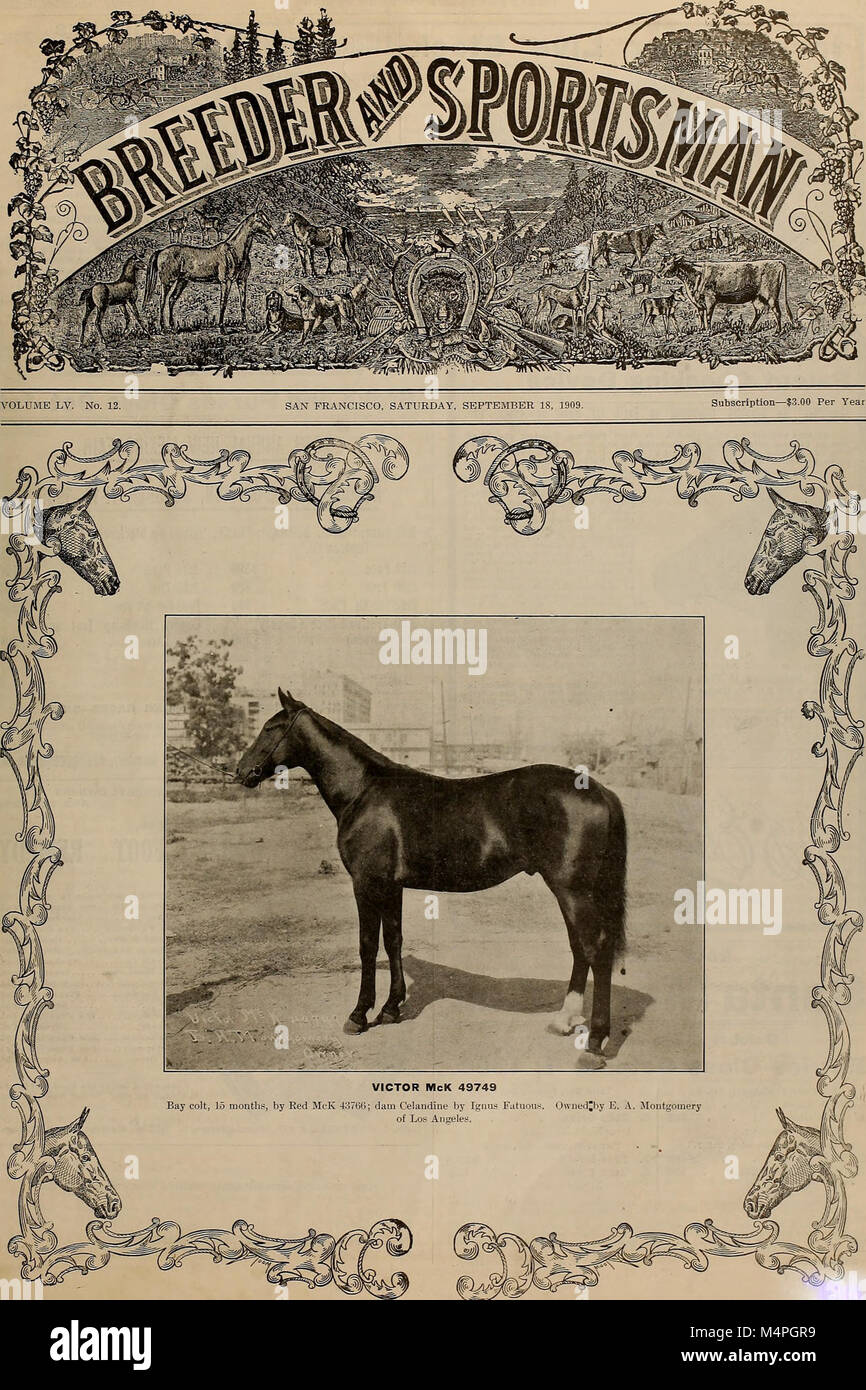 Breeder and sportsman (1909) (14754780846 Stock Photo - Alamy