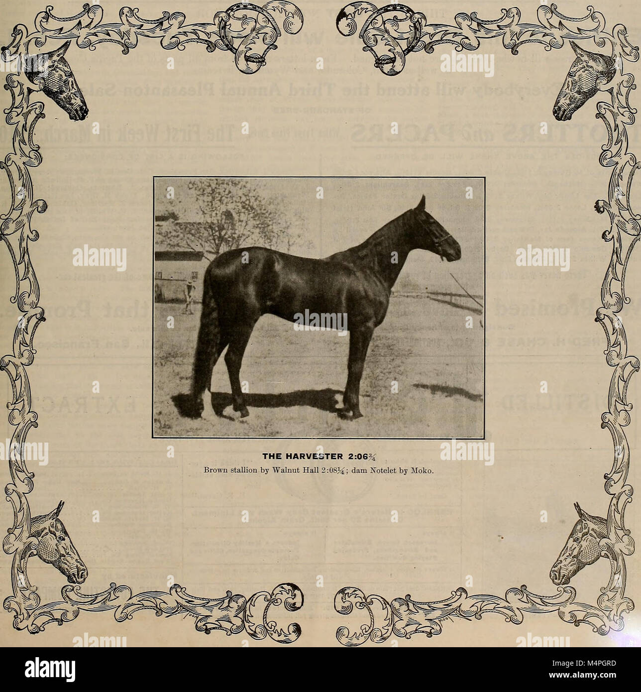 The 1910 edition of 'Breeder and Sportsman' covers breeding techniques ...