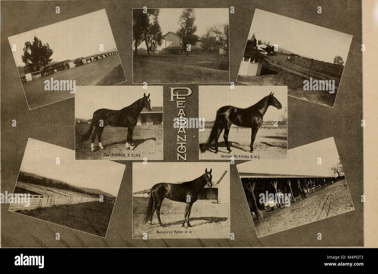 Breeder and sportsman (1912) (20402982232 Stock Photo - Alamy