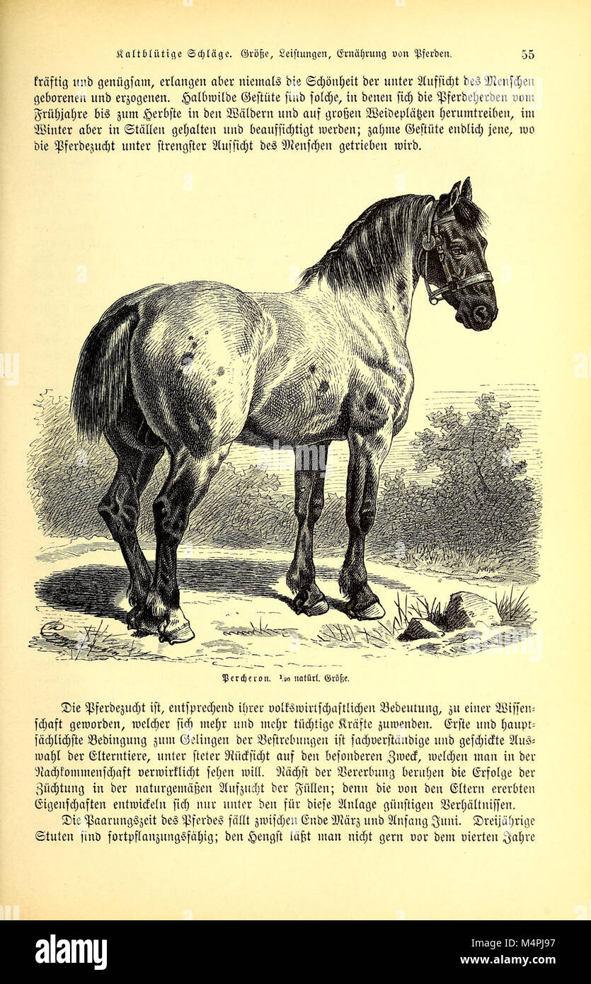 'Brehm's Tierleben' (1891) is a comprehensive work on animal life ...
