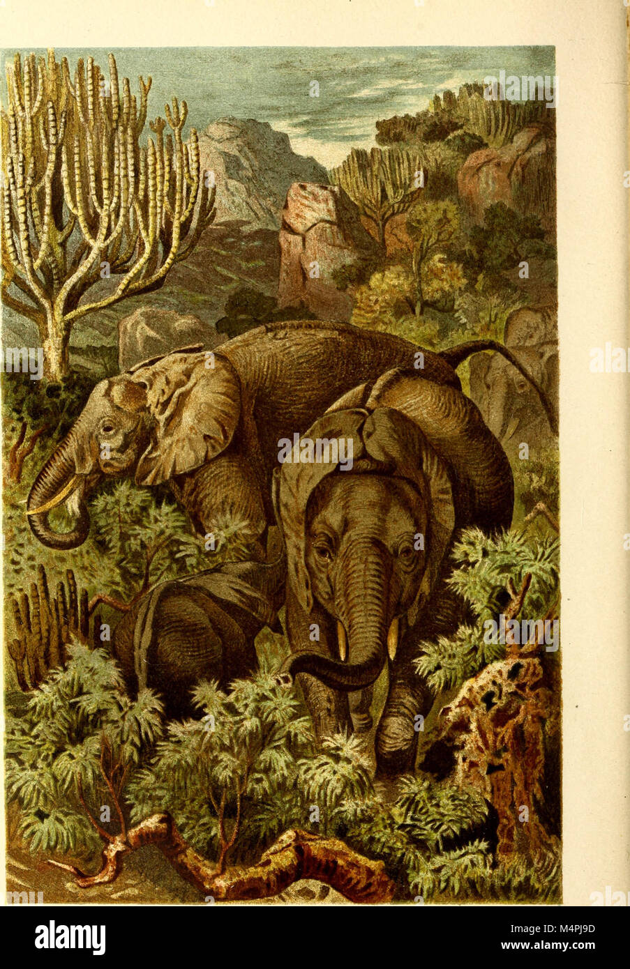 *Brehms Tierleben* (1891) is an extensive zoological work, featuring ...