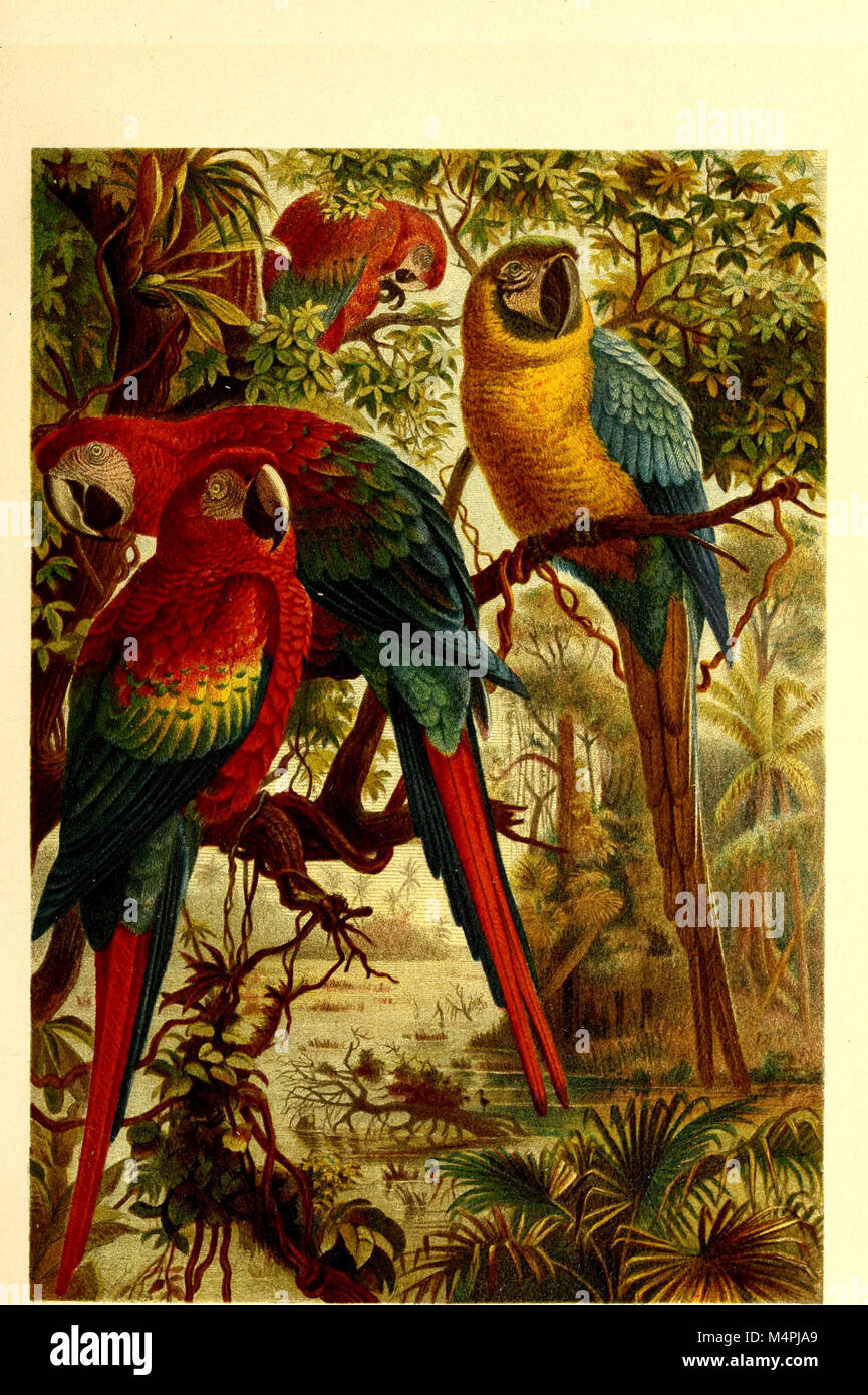 Brehm's *Tierleben* (1891) is a comprehensive zoological work that ...