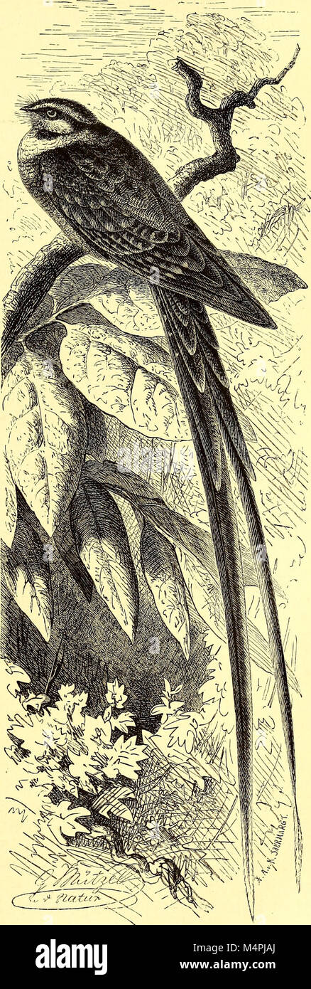 'Brehms Tierleben' (1891) provides an extensive overview of the animal ...