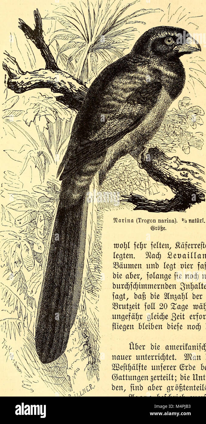 *Brehms Tierleben*, published in 1891, is a comprehensive work on the ...