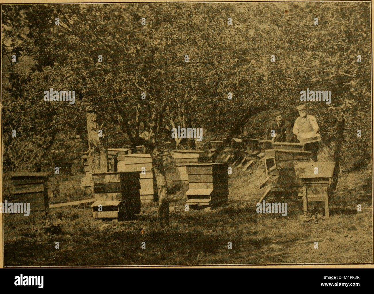 The 'British Bee Journal and Bee-Keepers Adviser' provides guidance on ...