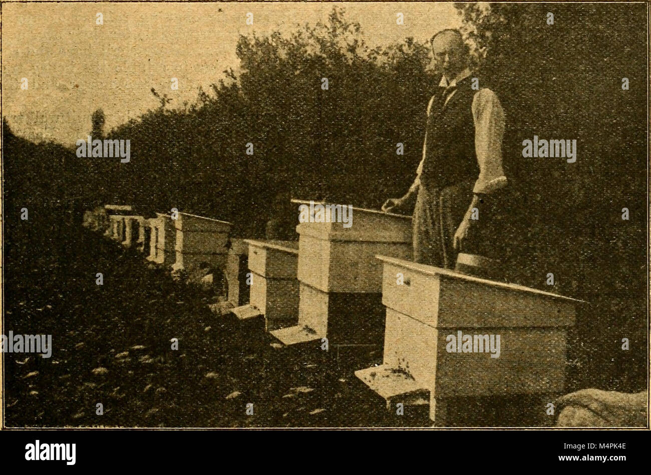 The *British Bee Journal and Bee-Keepers Adviser* (1904) is a resource ...