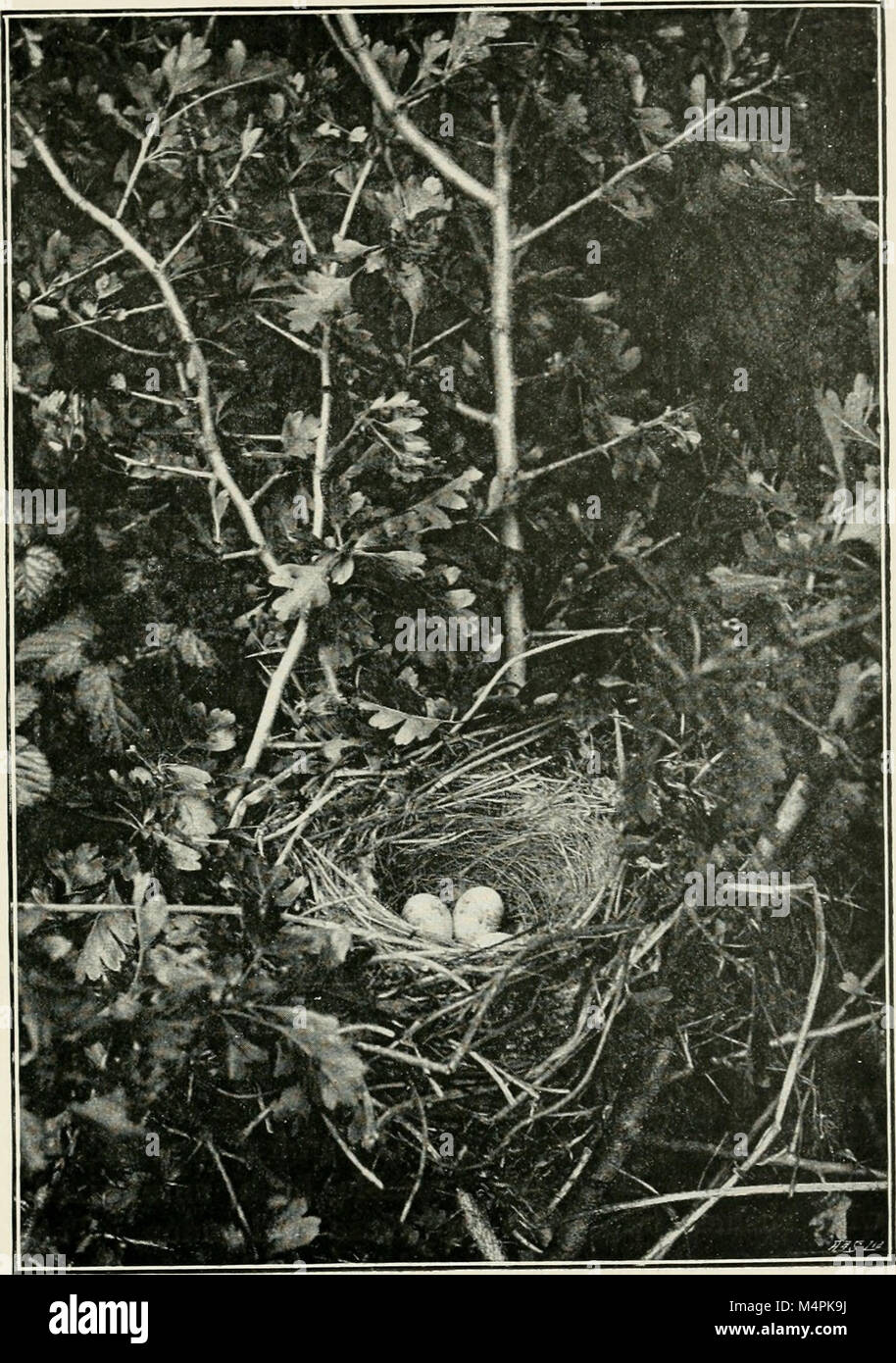 This 1898 guide provides detailed instructions on how to locate and ...