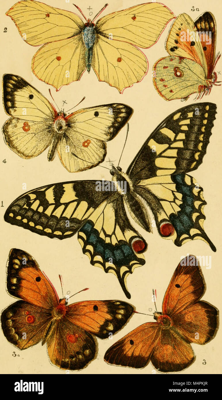This work provides detailed descriptions and illustrations of all ...