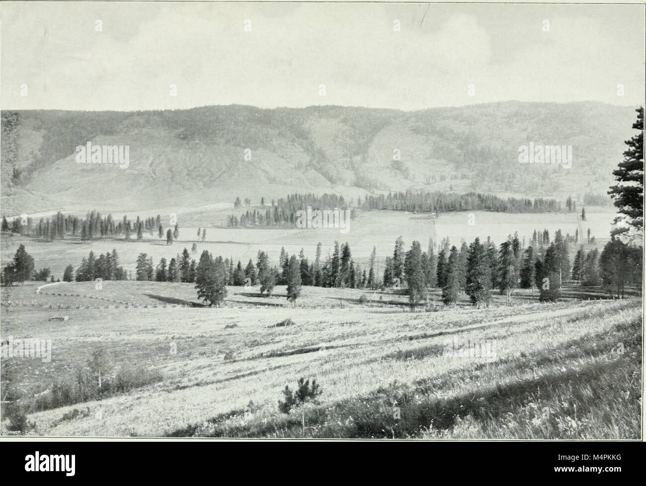 This 1902 work highlights the agricultural potential of British ...